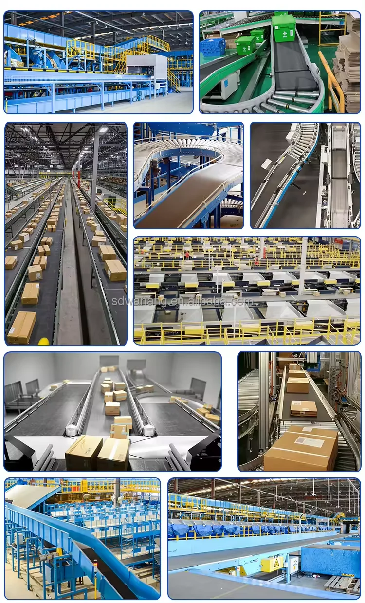 Customized Chain Conveyor Systems for Efficient Production
