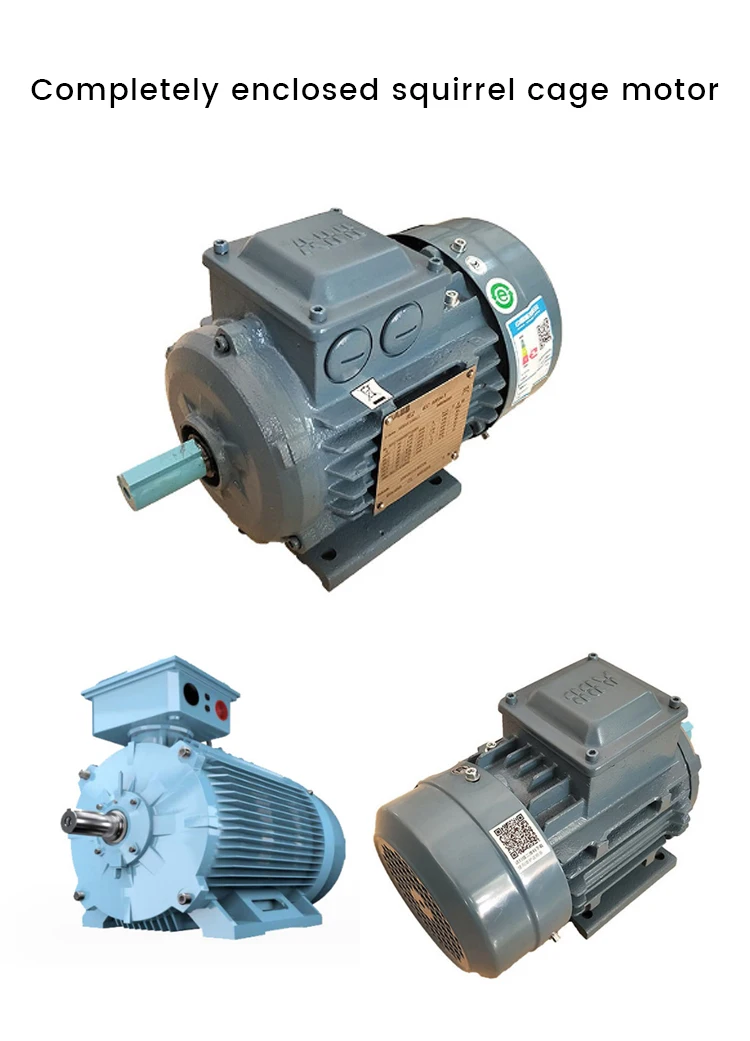 Abb Ac Motor Completely Enclosed Squirrel Cage Motor 3 Phase Helical ...