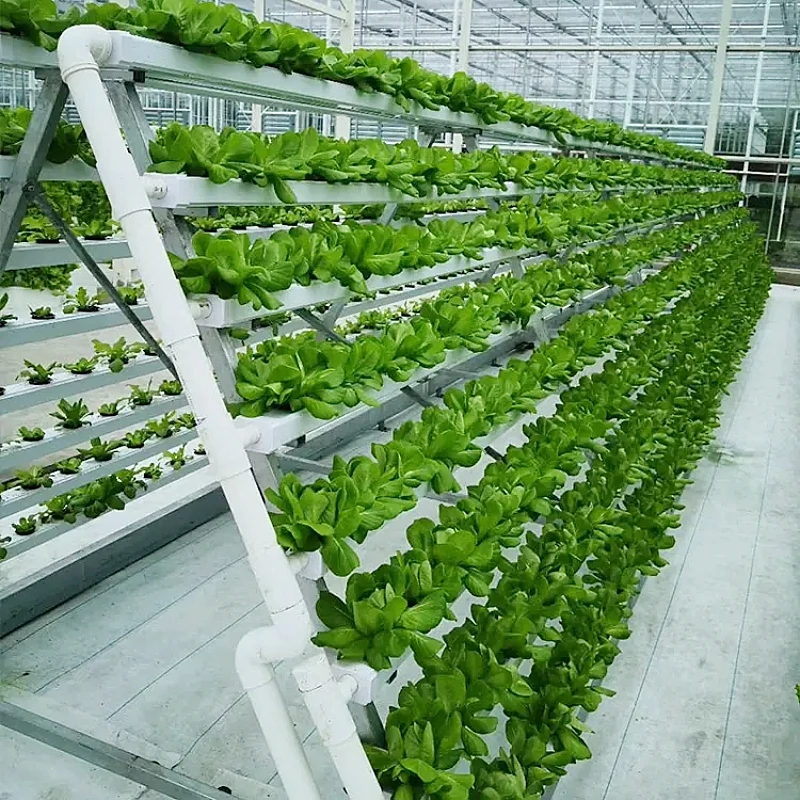 Plastic PVC Pipe NFT Greenhouse Hydroponic Growing System Flat ...