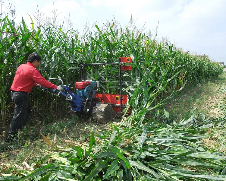 Sesame Harvester Corn Reaper - Efficient & Durable Machine