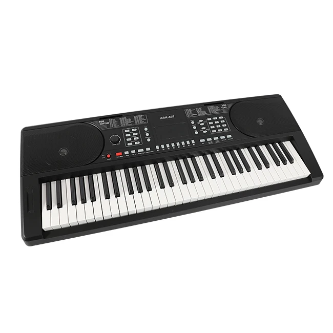 Aierke ARK607 Electronic Organ - 61 Keys for Music Education