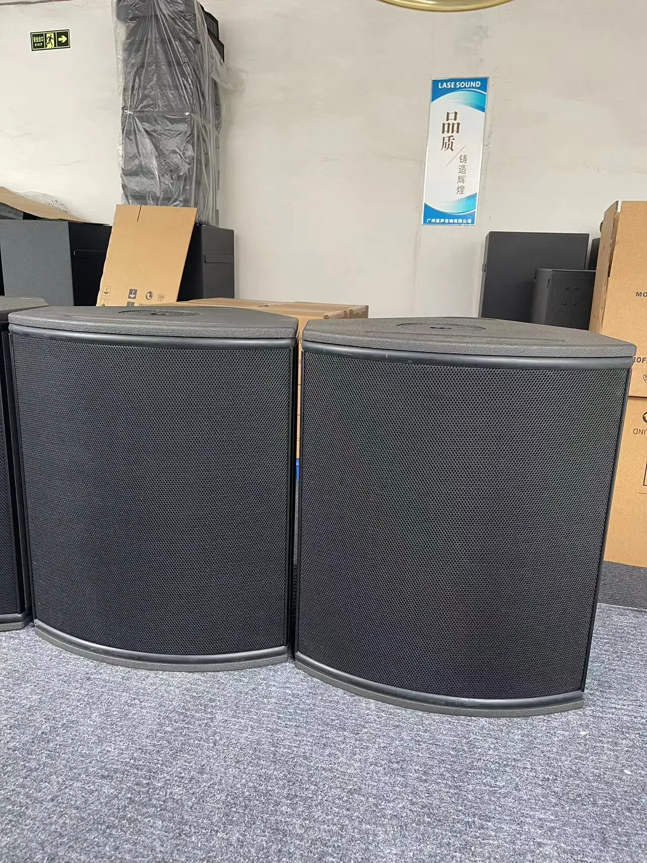 Lase Sound M-115 15 Inch Studio Monitor Speakers for Live Shows