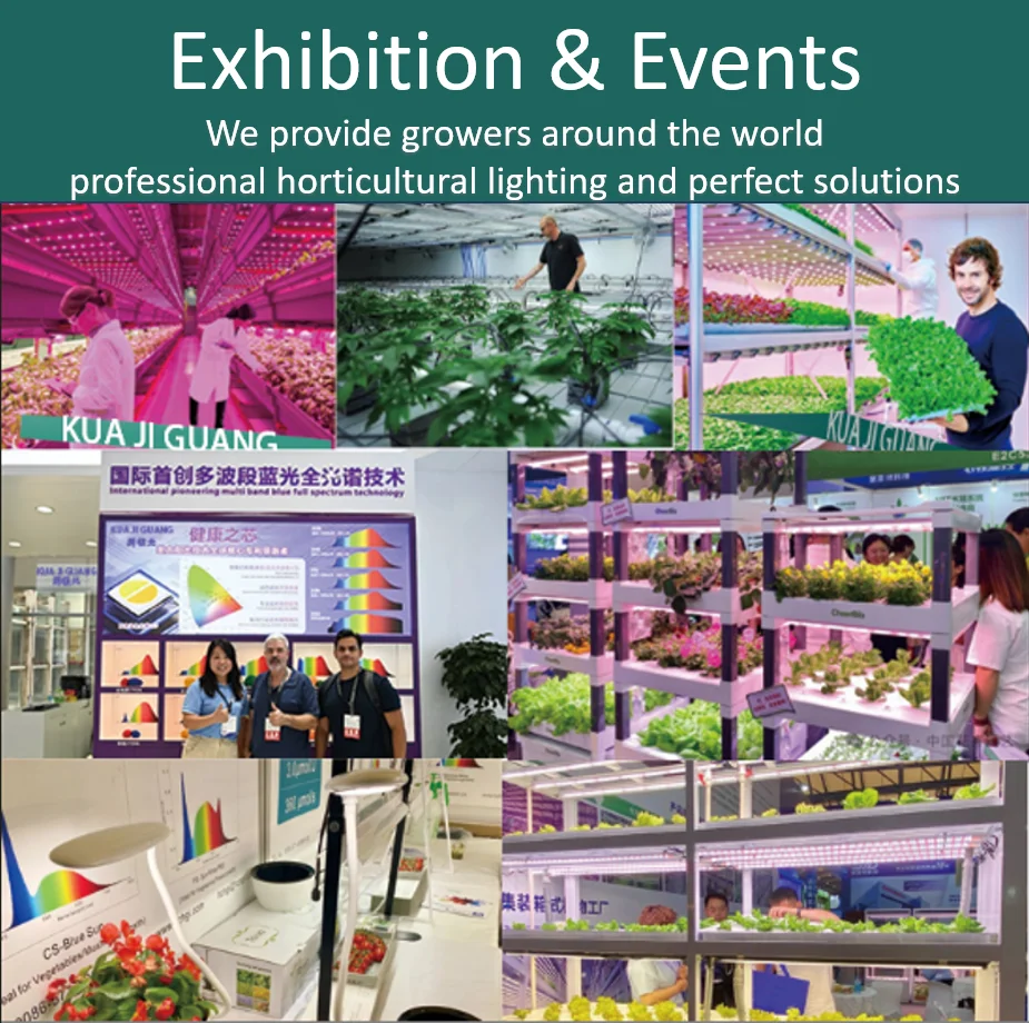 100W 200W 300W 2x2ft 3x3ft SAMSUNG LM301H EVO Full Spectrum Indoor Plant LED Grow Light Panels ...