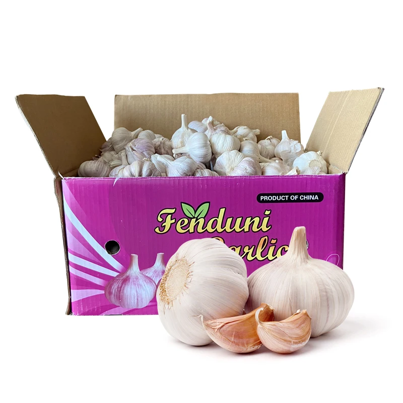 Fresh chinese 3p pure white garlic 10kg garlic low prices garlic ...