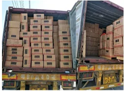 Lszh Electric Flame-retarded Switch Boxes Mounted Wall Switch Socket ...