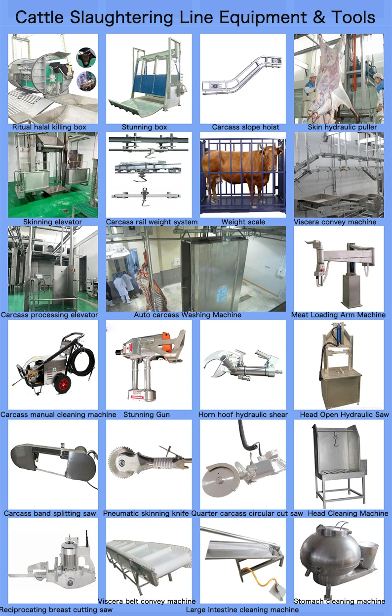 Modern Halal Cattle Abattoir - Efficient Slaughter Equipment