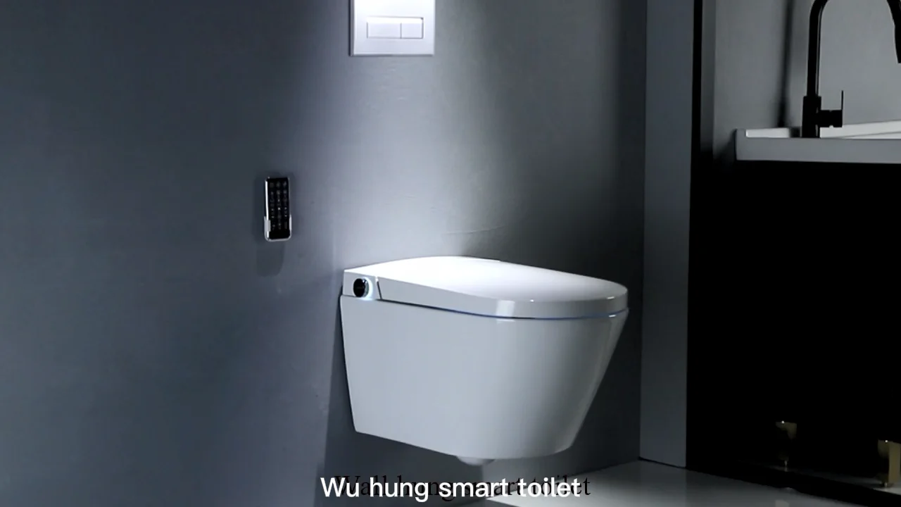 Ovs Ce Concealed Cistern One Piece Toilet Bowl Wall Mounted Ceramic ...