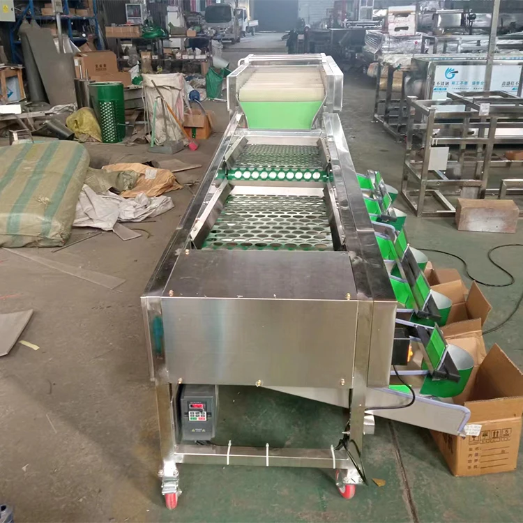 Onion Sorting And Grading Machines Jujube Olive Walnut Sorting Machine ...