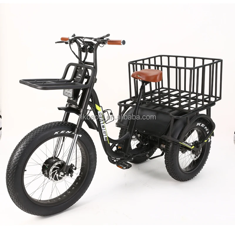 Electric Tricycle Hunting Cargo Electric Trike 20 Inch Fat Tire ...