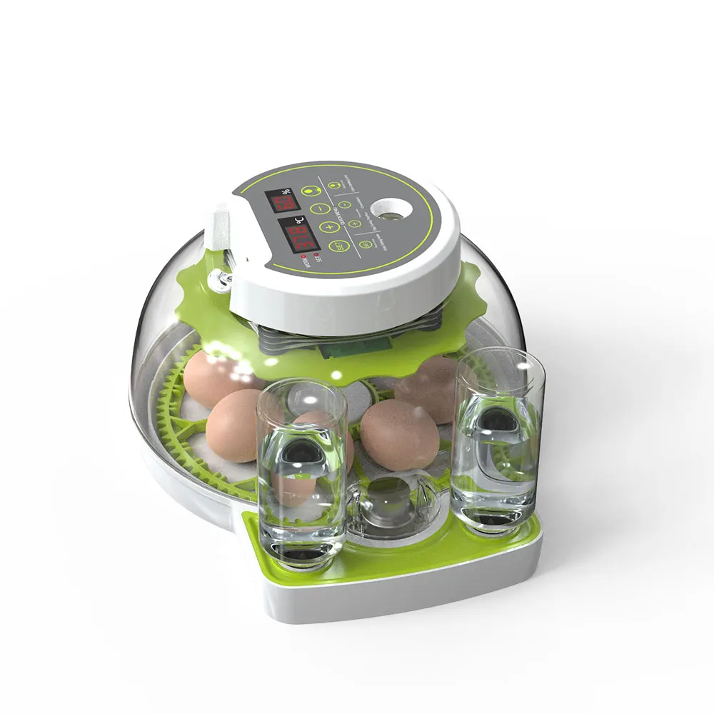 Egg Incubator Farm - High Productivity & Automatic Control