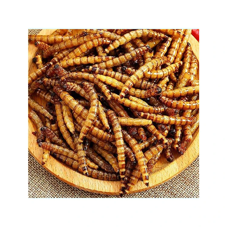 Animal Feed Dried Superworm From Superworm Factory - Buy Superworm ...