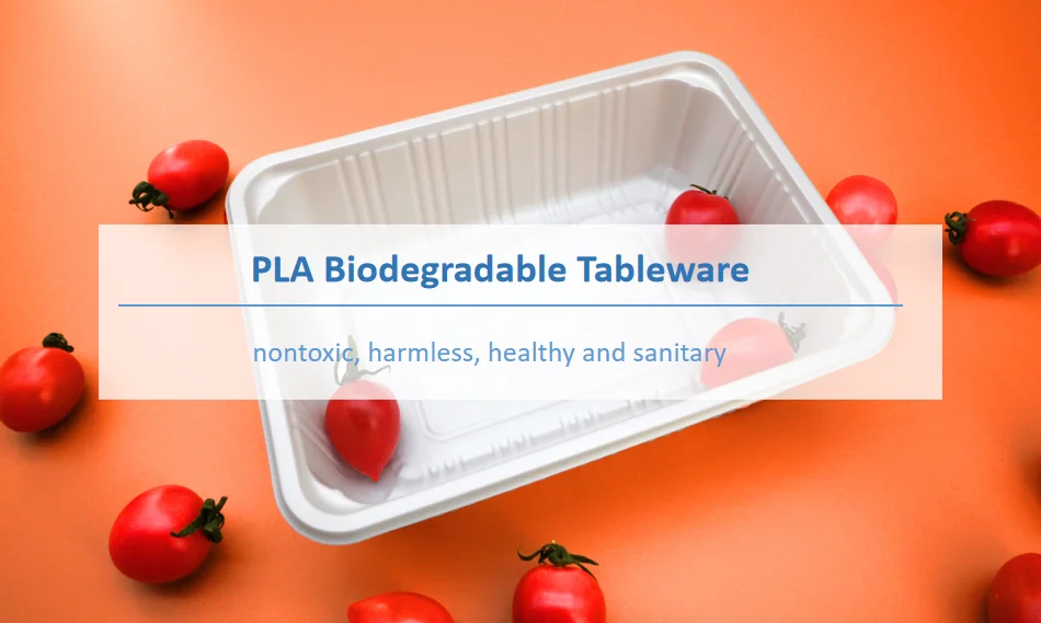 Clear Biodegradable Polylactic Acid Pla Dessert Biscuit And Cookie ...