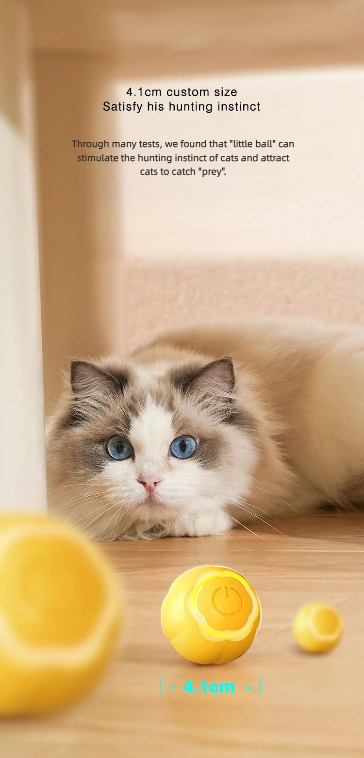 Automatic Rolling Intelligent Cat Toys Indoor Electric Pet Training ...
