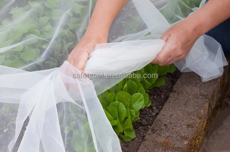 Hdpe+ Uv Plastic Mesh Agricature Anti Insect Net Greenhouse Insect Net ...