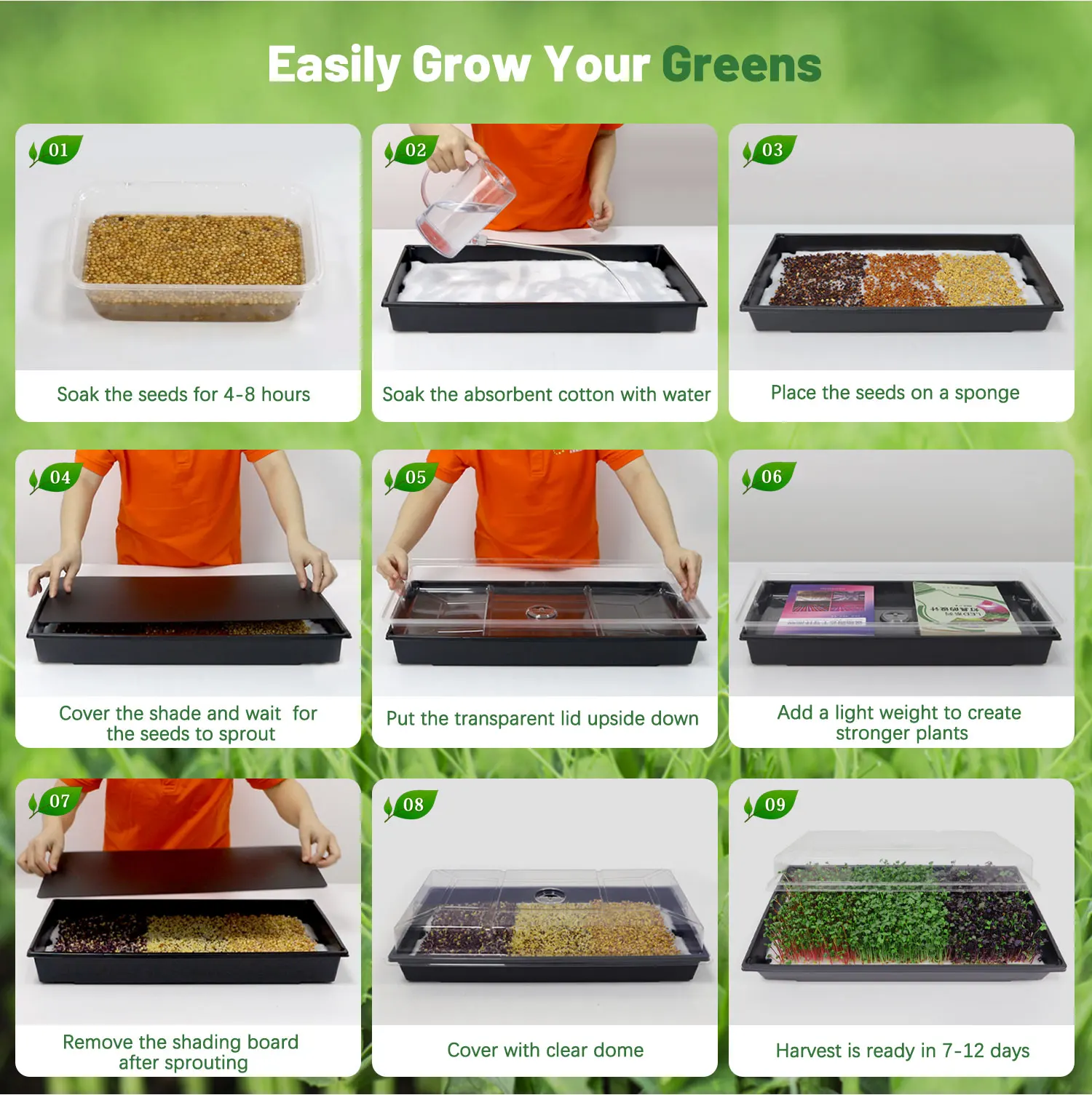Microgreen Tray 1020 - Ideal for Indoor Nursery Growing