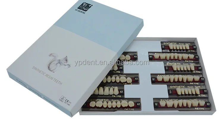 Oem Factory Price Two Layers Three Layers Acrylic Resin Teeth Dental ...