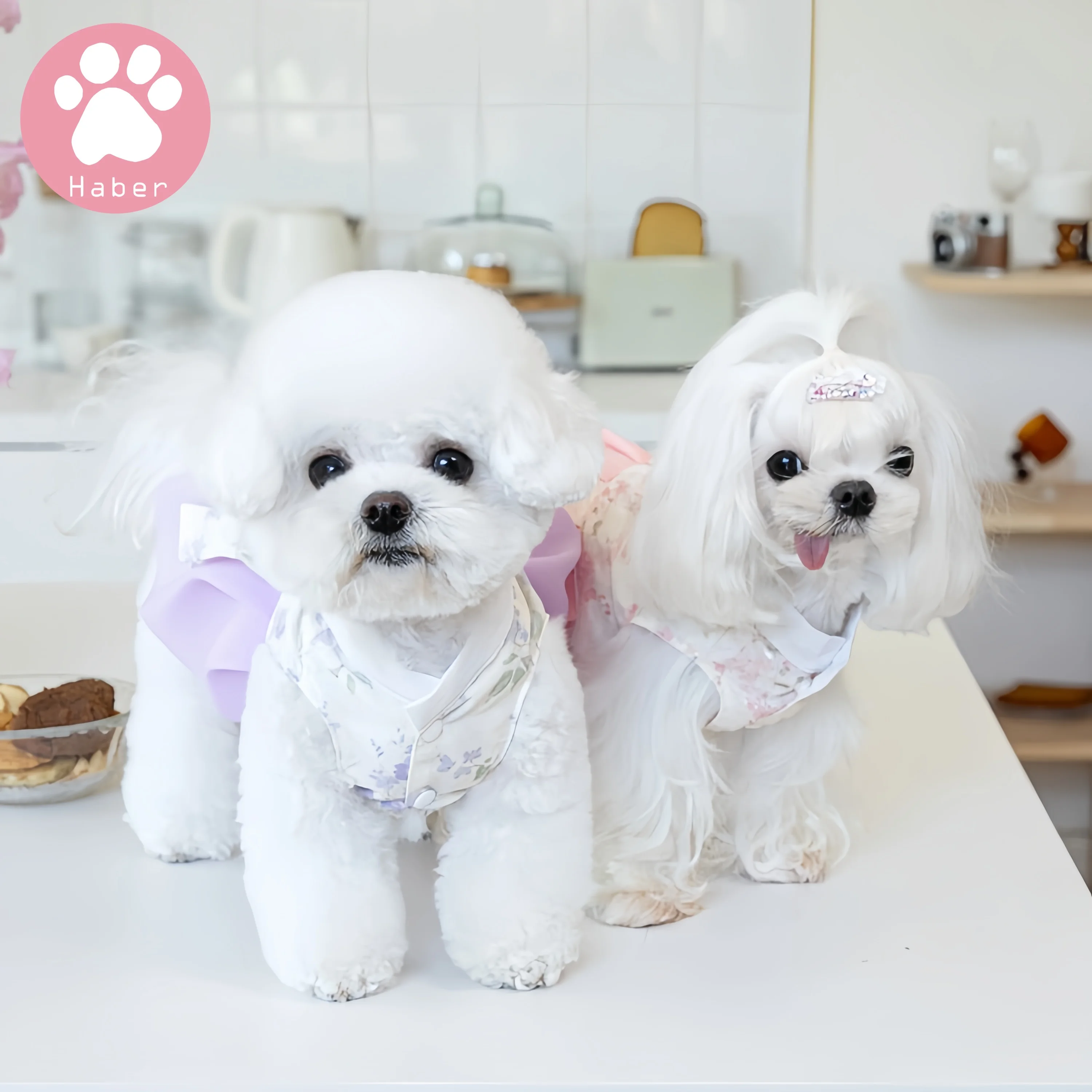 Korean National Dress Pet Teddy Skirt Japan South Korea Summer Fashion ...