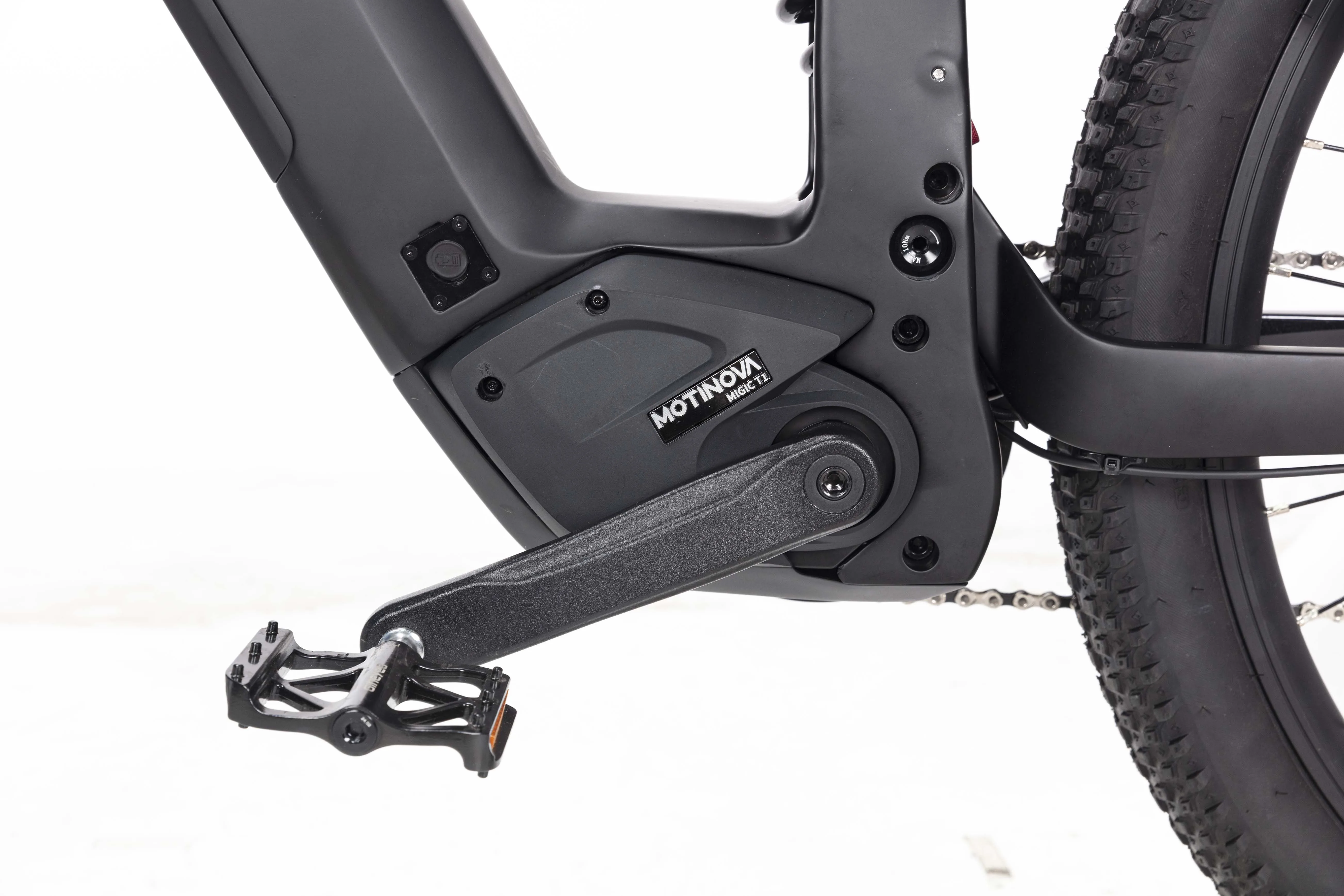 10 Speed 500W Electric Mountain Bike with Carbon Fiber Frame