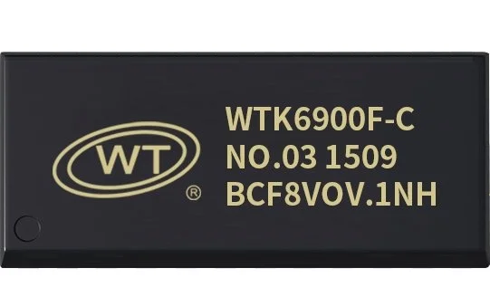 Waytronic WTK6900FC Voice Recognition Chip - Multilingual & Self-learning