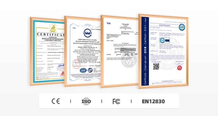 Bluetag TH30B/30R Smart BLE Temperature Data Logger Sensor