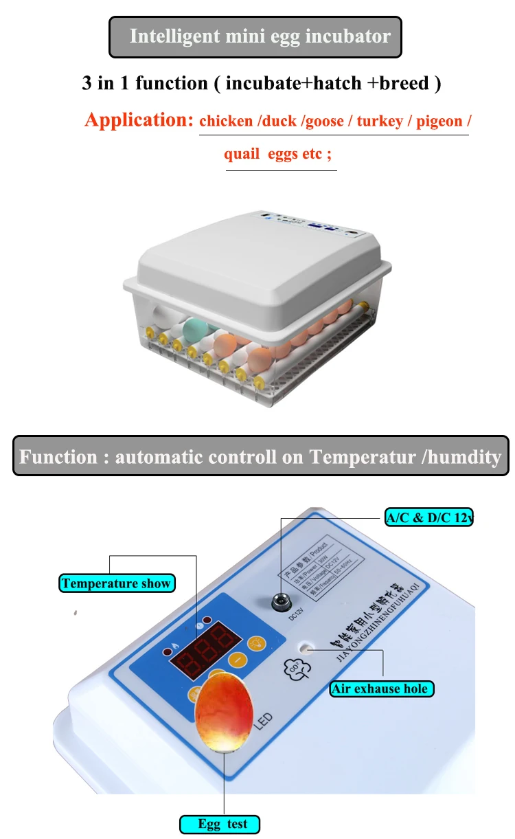 Automatic Mini Egg Incubator 18-24 Eggs Family Use Egg Incubator - Buy ...