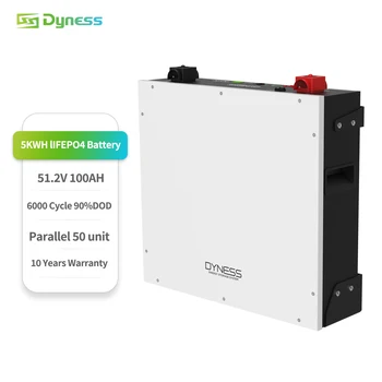 Dyness Dl5.0c Long Life 5kwh 51.2v Lithium Ion 100ah Lifepo4 Battery Pack For Off Grid Energy ...