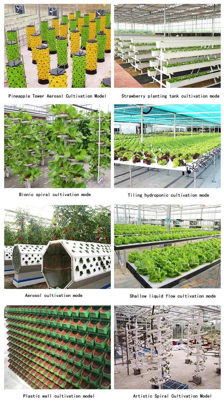 Agriculture Vertical Farming,Aquaponics System For Fish And Vegetable ...