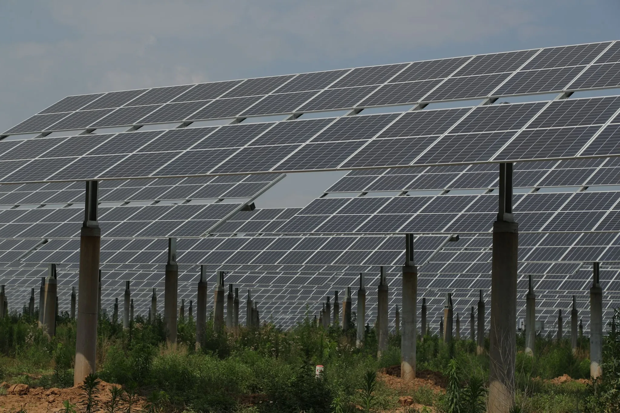 Trina Solar Honey Tsm-de08 Solar Panels 650w 660w Trina Tsm-deg21c.20 ...