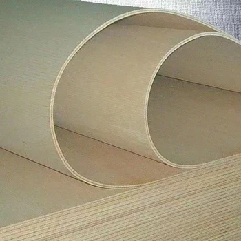 E1 Grade 1220*2440*3mm 5mm 9mm Bend Plywood/flexible Bending Plywood ...