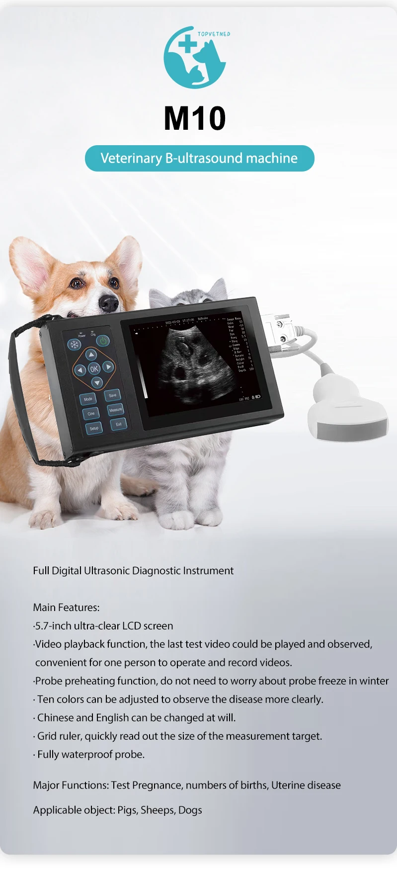 Portable Full Digital Veterinary Medical Ultrasound Instrument For ...