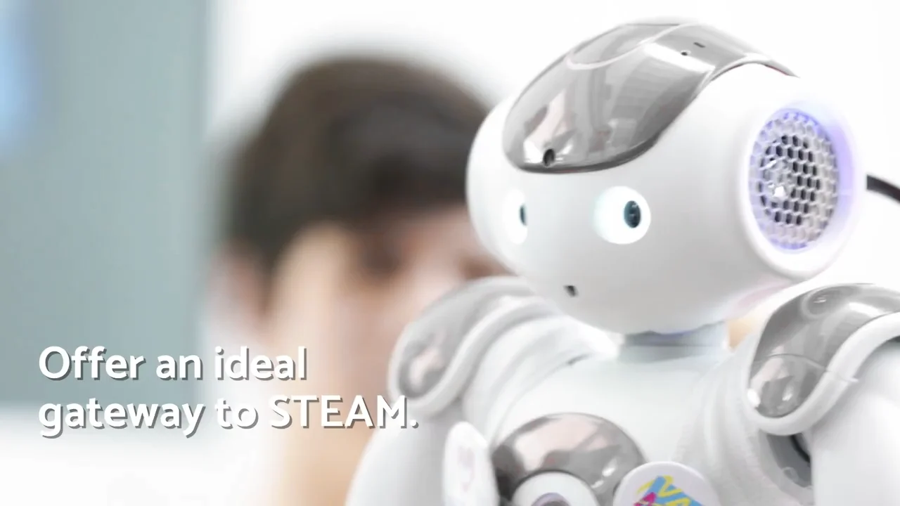 Softbank Robotics Smart Humanoid Robot Intelligent For Stem Education,Fully Programmable & Open ...