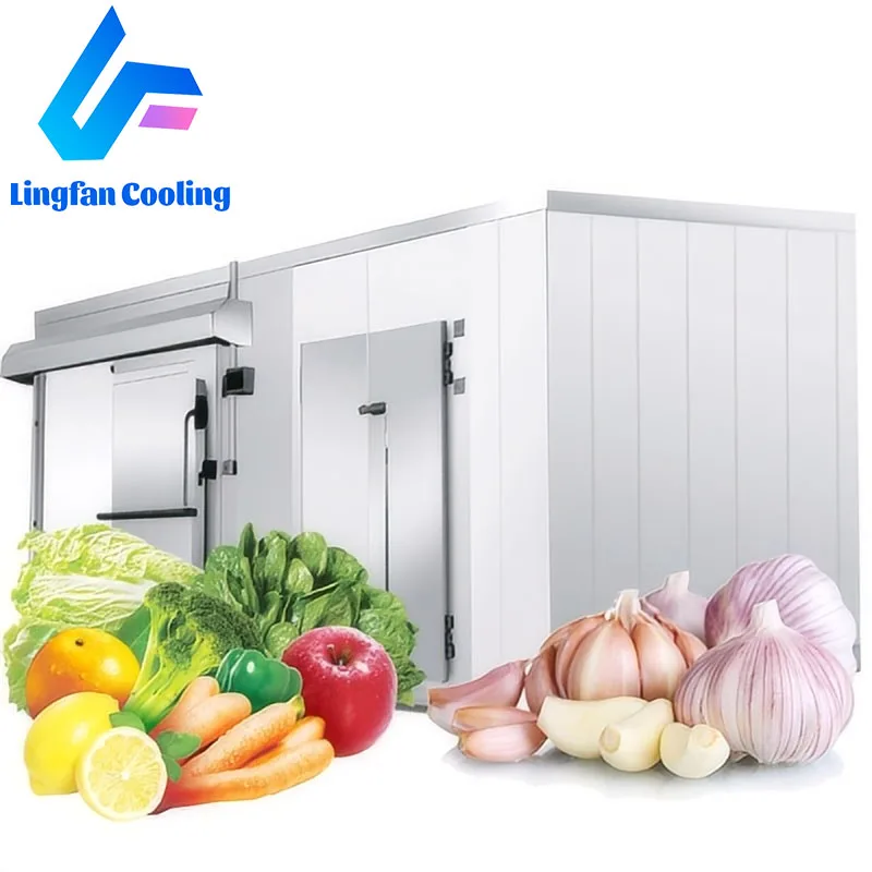Modular Cold Storage Room With Pu Insulated Calmlock Sandwich Panel ...
