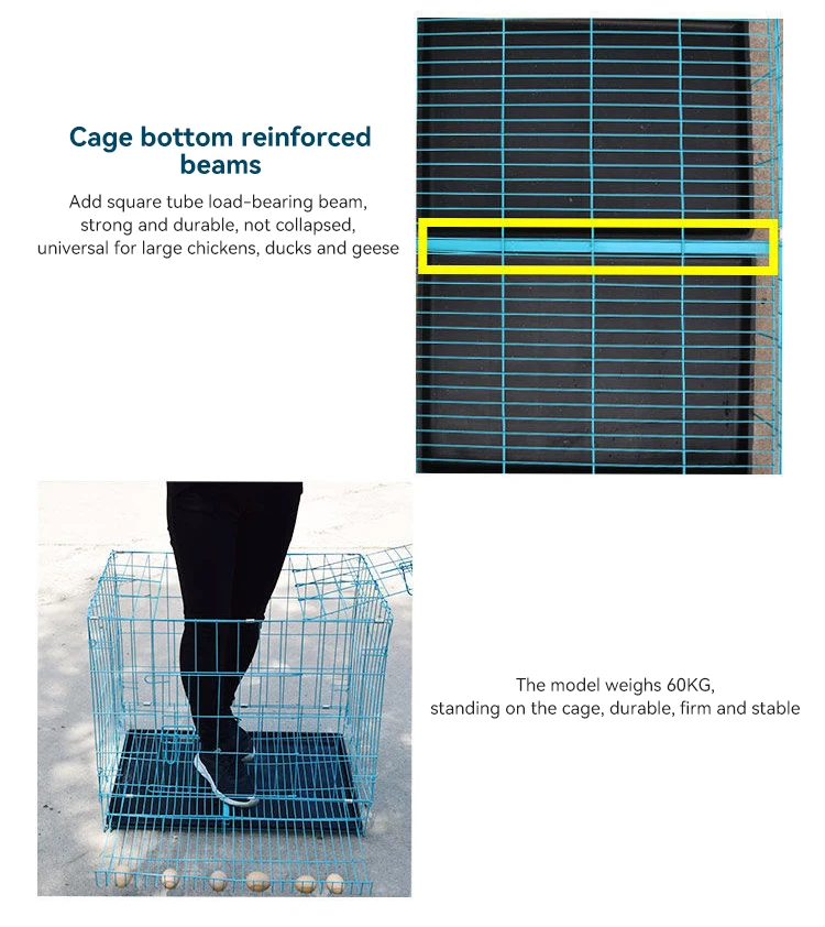 Egg Chicken Cage - Foldable Breeding Cages for Home Use