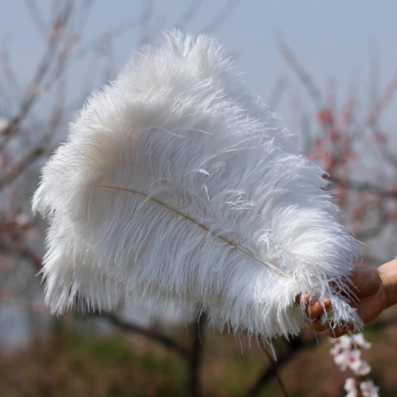 Wholesale White Ostrich Feathers for Wedding Accessories Cheap Decor ...