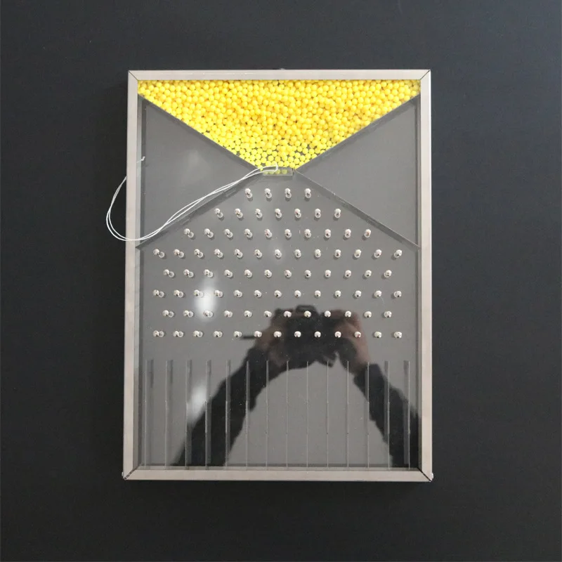 Galton Board (dalton Board) - Physics Teaching Equipment