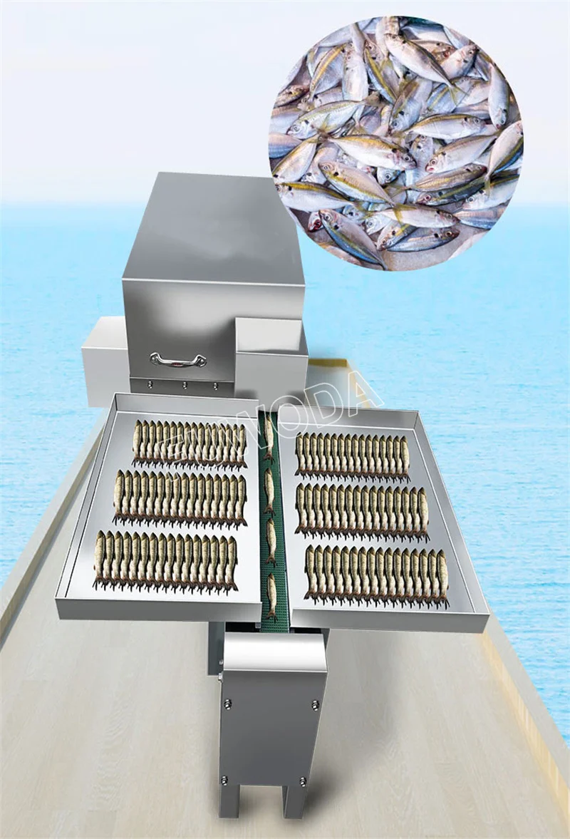 Easy Operation Small Fish Killing Viscera Remover Fish Offal Remover ...