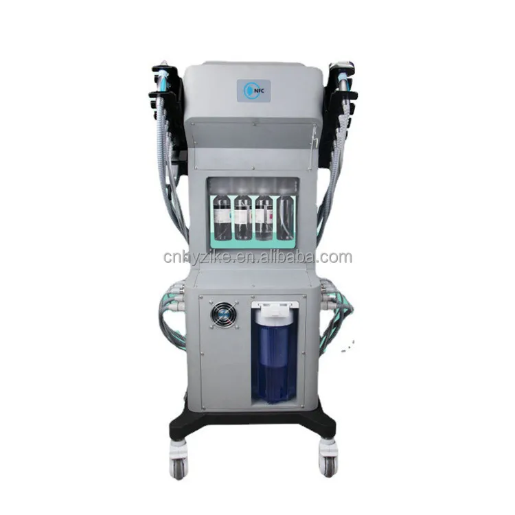 2023 Newest 12 In 1 Hydra Cleaning Facial Machine Aqua Water Oxygen ...