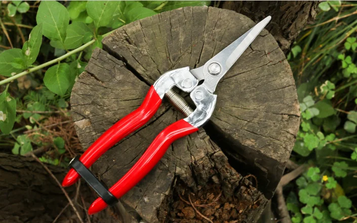 Garden Scissor Cutting Grape Fruits Clipper Pruning Shears Gardening ...