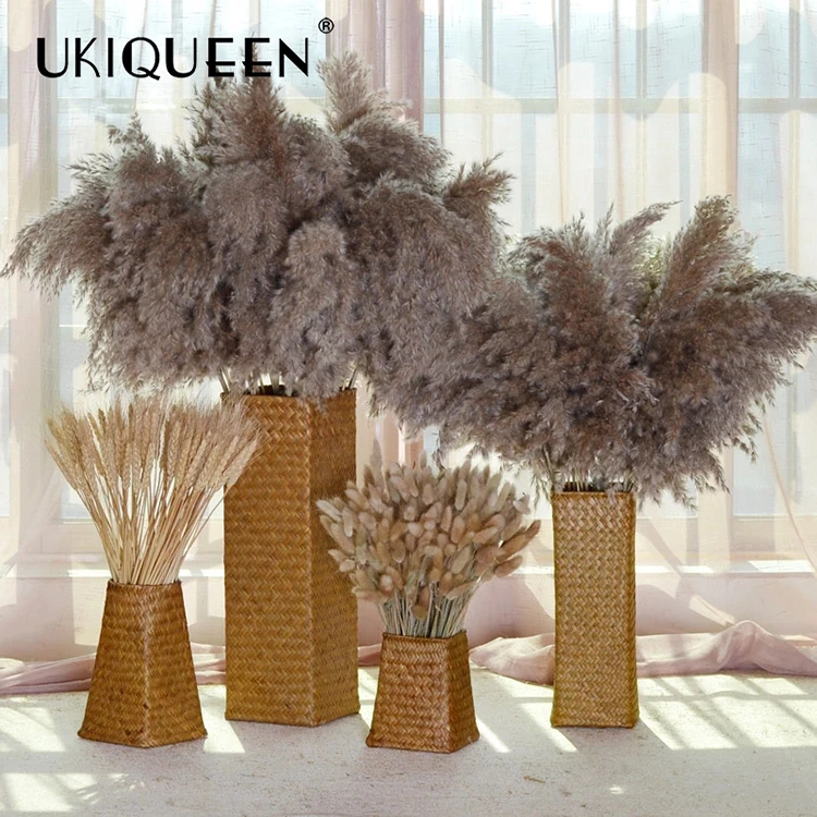 Fluffy Pampas Grass - Elegant Dried Decorative Flowers