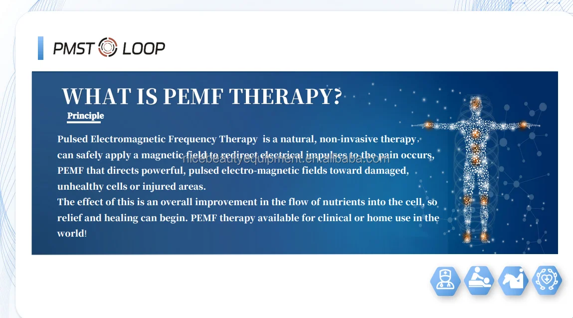 PEMF Human and Horses Pulsed Electromagnetic Field PMST LOOP PRO MAX ...