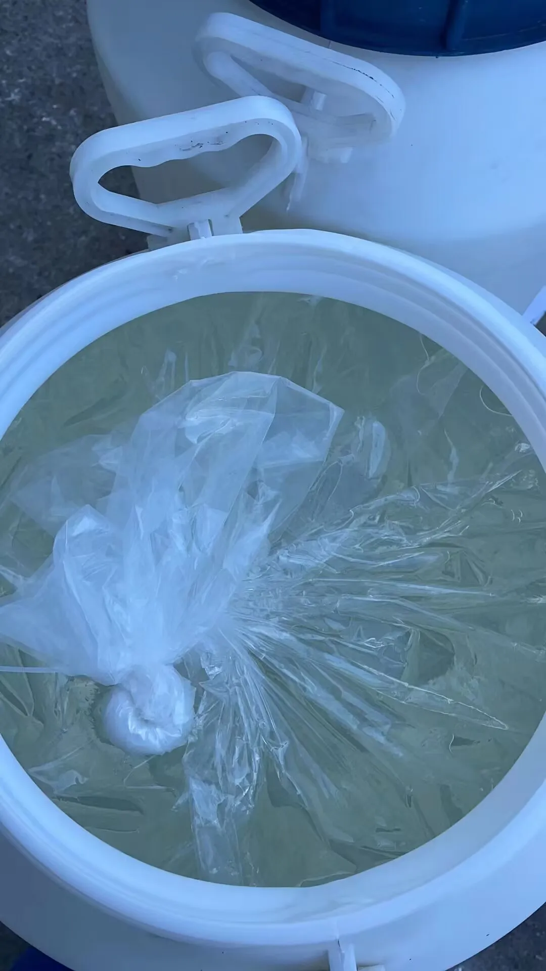 Aogubio High Quality German Brand 99% Emollient Cas 629-82-3 Cosmacol ...