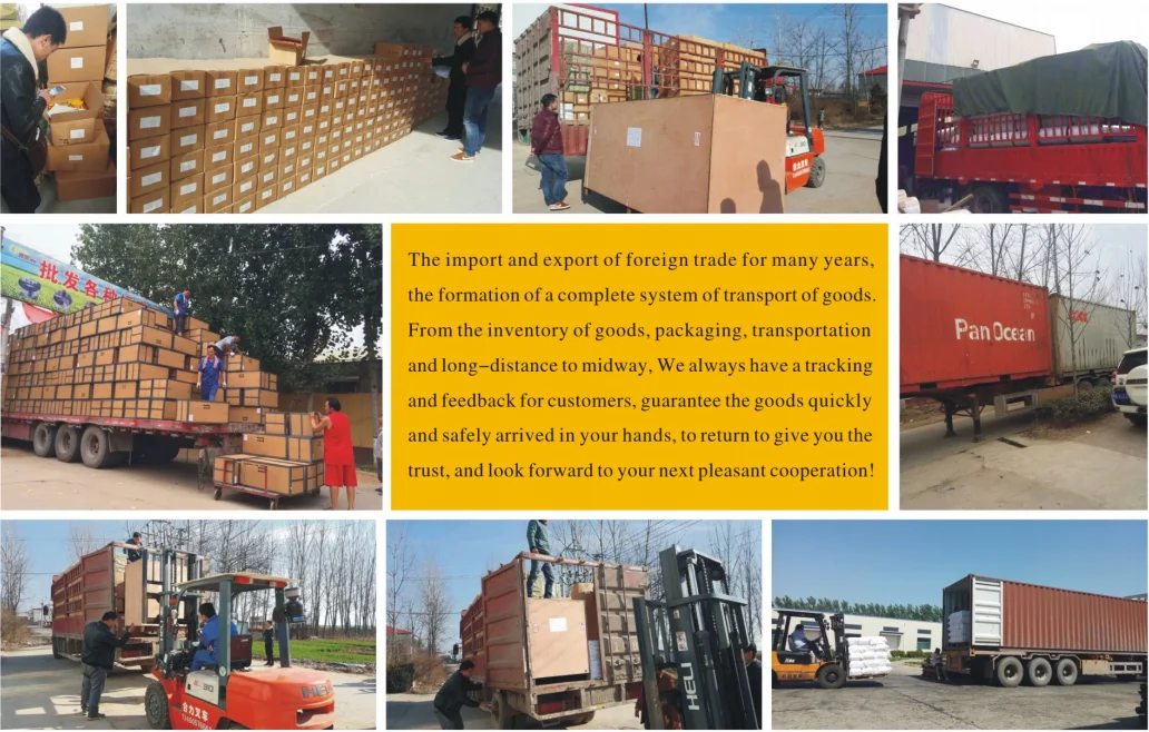 Automatic 8 Frame Electrical Reversible Radial Bee Honey Processing ...