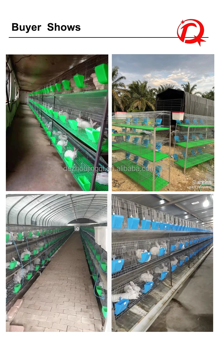 Rabbit Farming - Efficient Breeding with 24 Door Cages