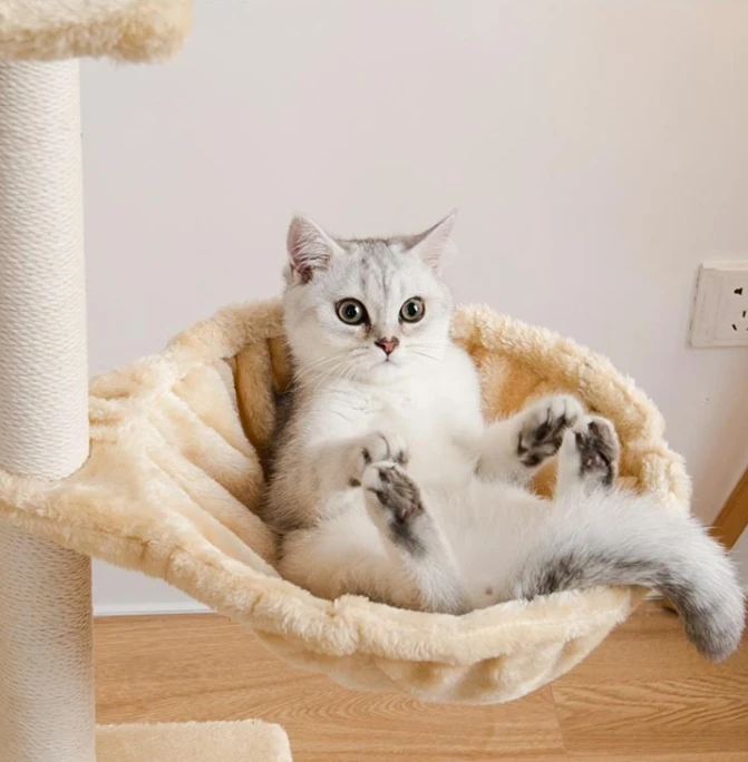 Direct Sales Wooden Cat Tree Factory Modern Large Tower Wooden Cat Tree ...