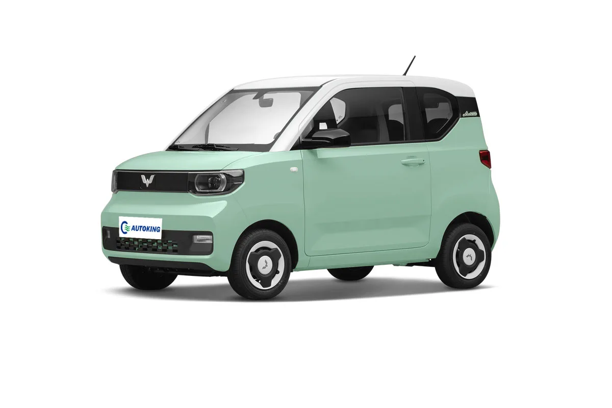 Wuling Hongguang Nano Mini EV - 300km High Speed Electric Car