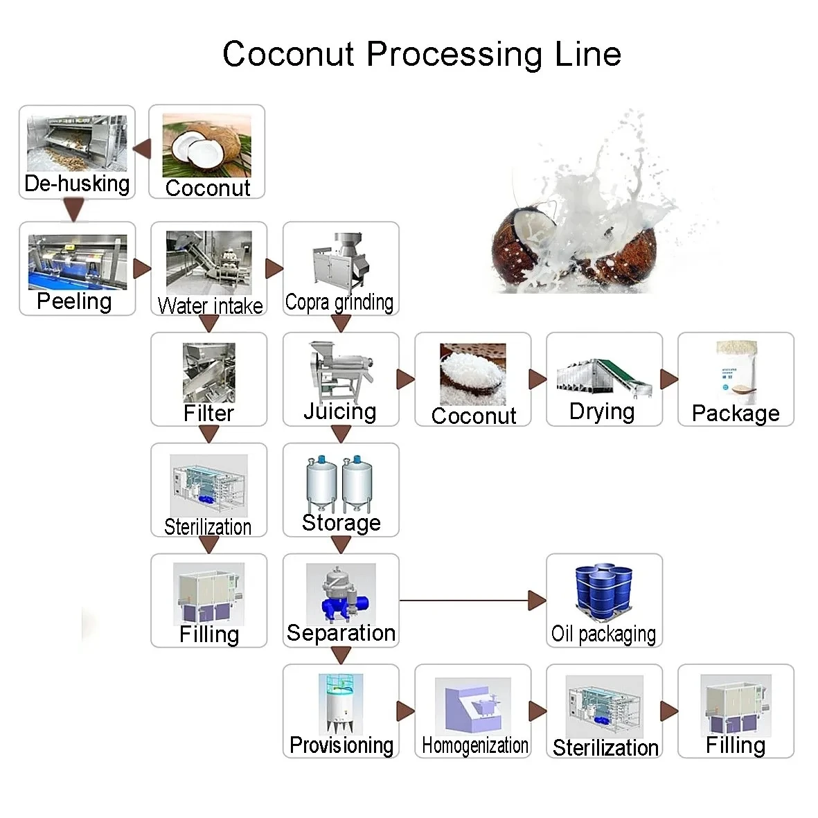 Industrial Electric Automatic Young Coconut Cutting Machine