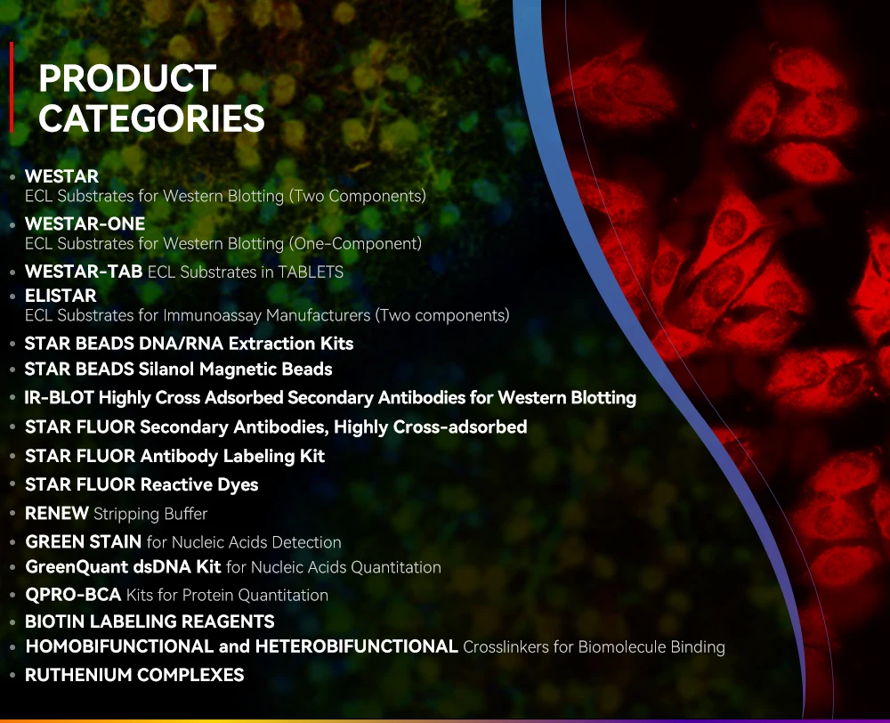 Elistar Antares Chemiluminescence Substrate for Immunoassay Two ...