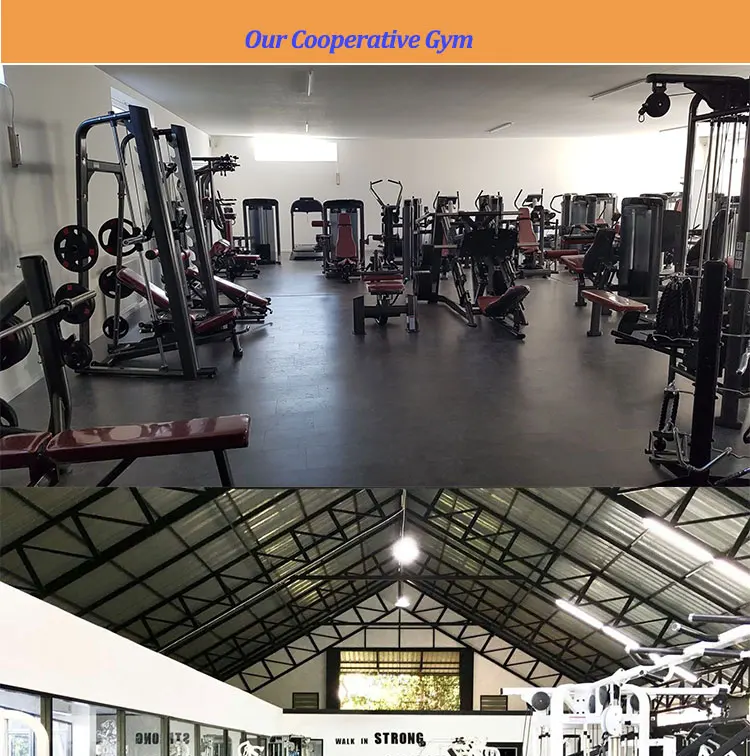 Panatta Indoor Lateral Raise Shoulder Training Machine Gym Equipment ...