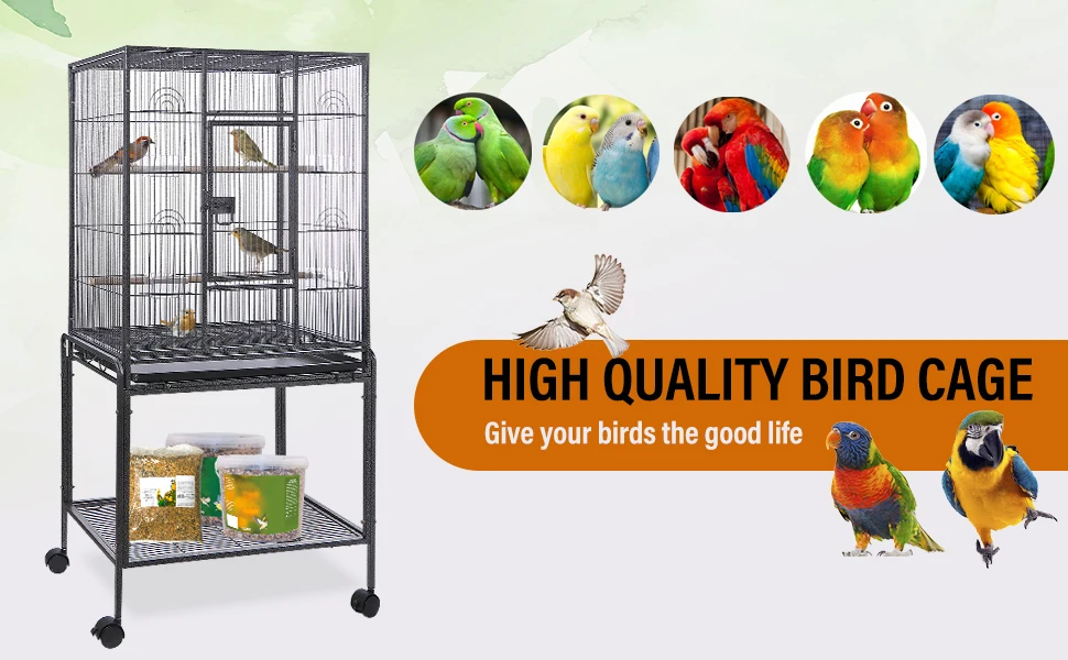 Wholesale 68 Inches Luxury Designs Black Steel Metal Iron Aviary Canary ...