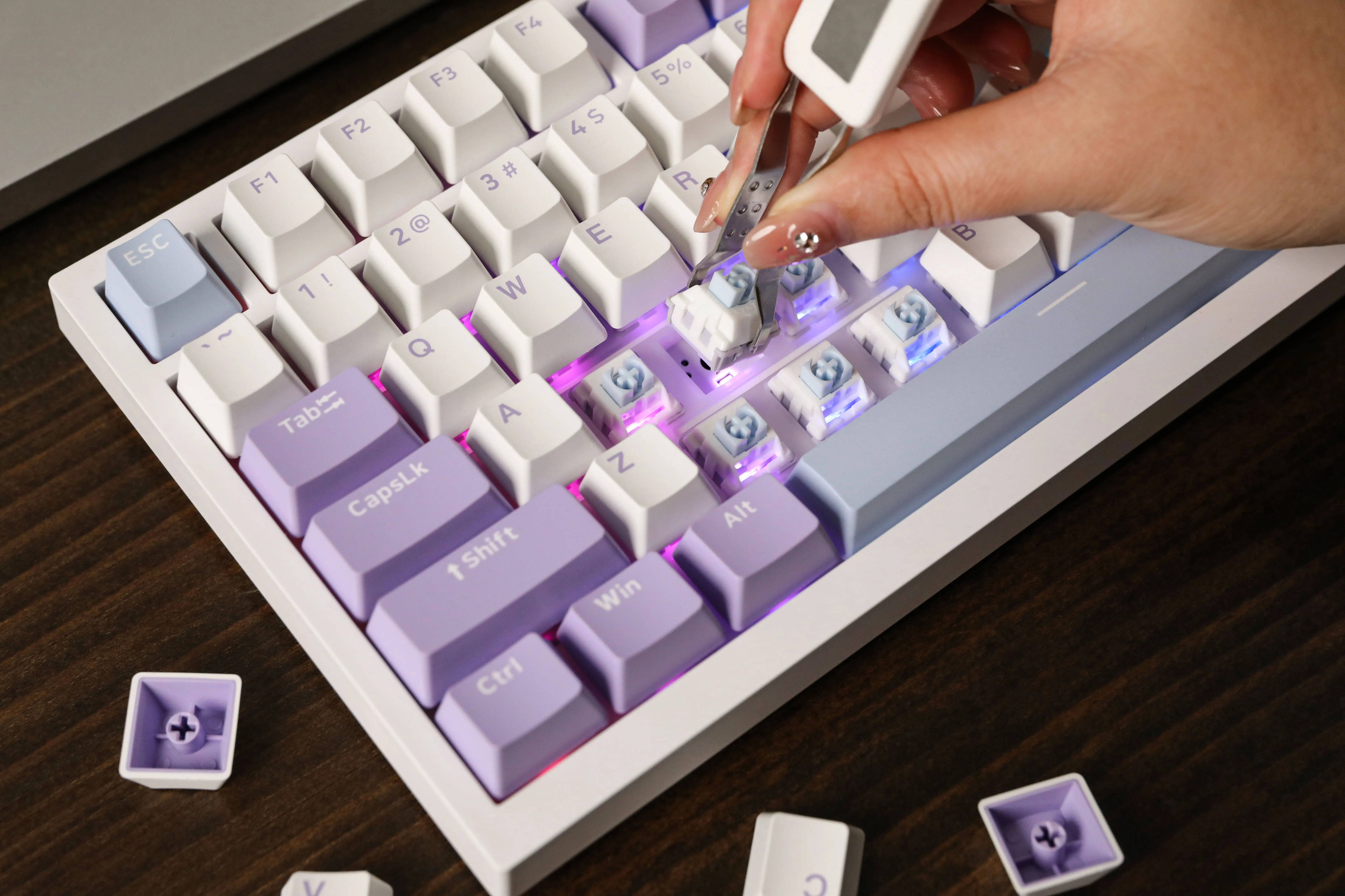 Ajazz AK820 Pro 75% Gasket-Mounted Mechanical Keyboard with Lekker ...